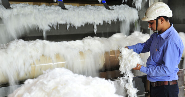 Cellulosic Fibre